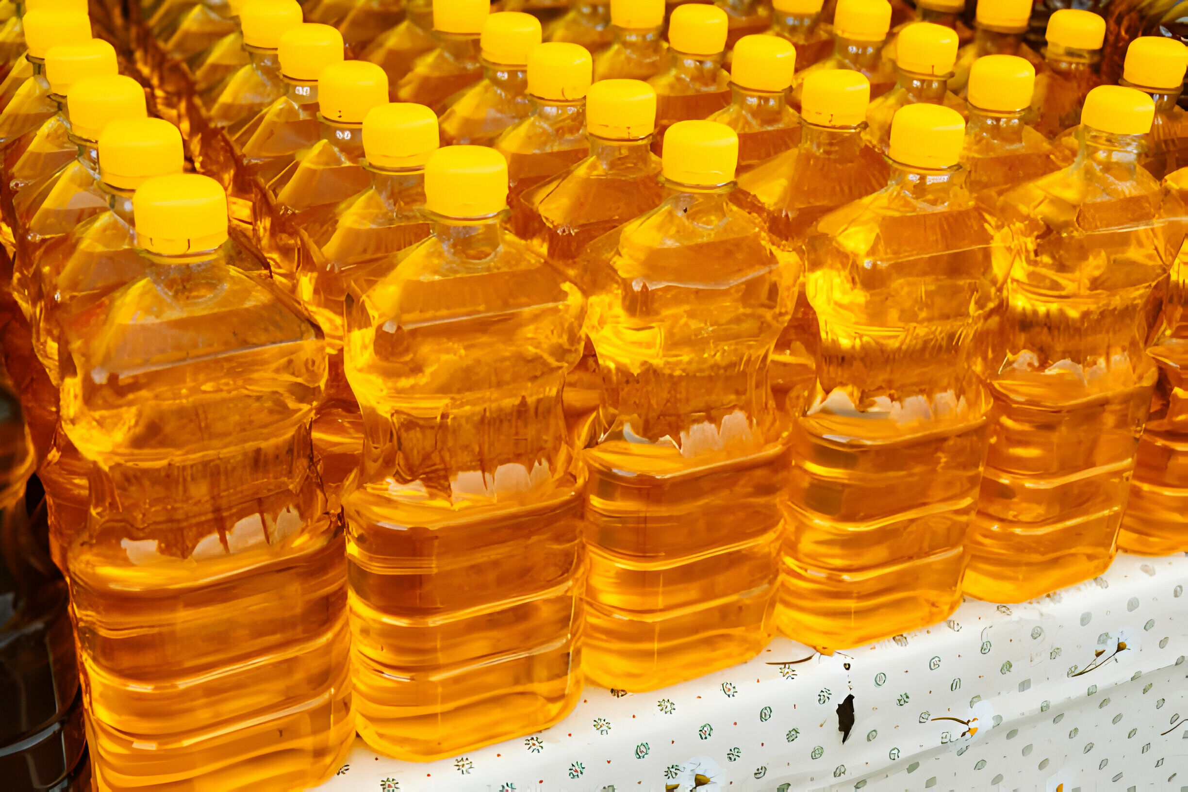 Buy Wholesale Czech Republic Wholesale Premium Corn Oil / Wholesale ...