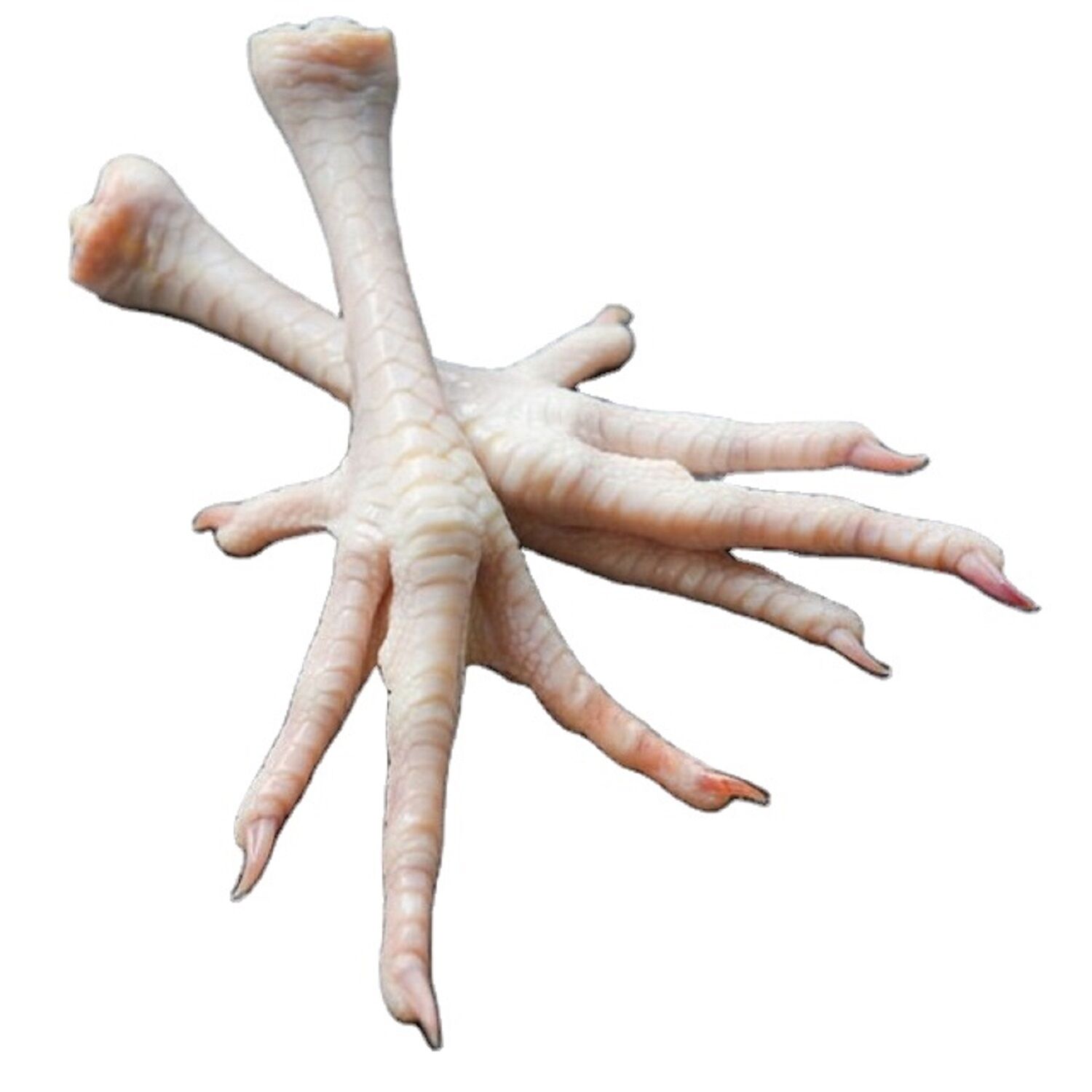 Bulk Buy Thailand Wholesale Fresh Chicken Frozen Chicken Paws For Good ...