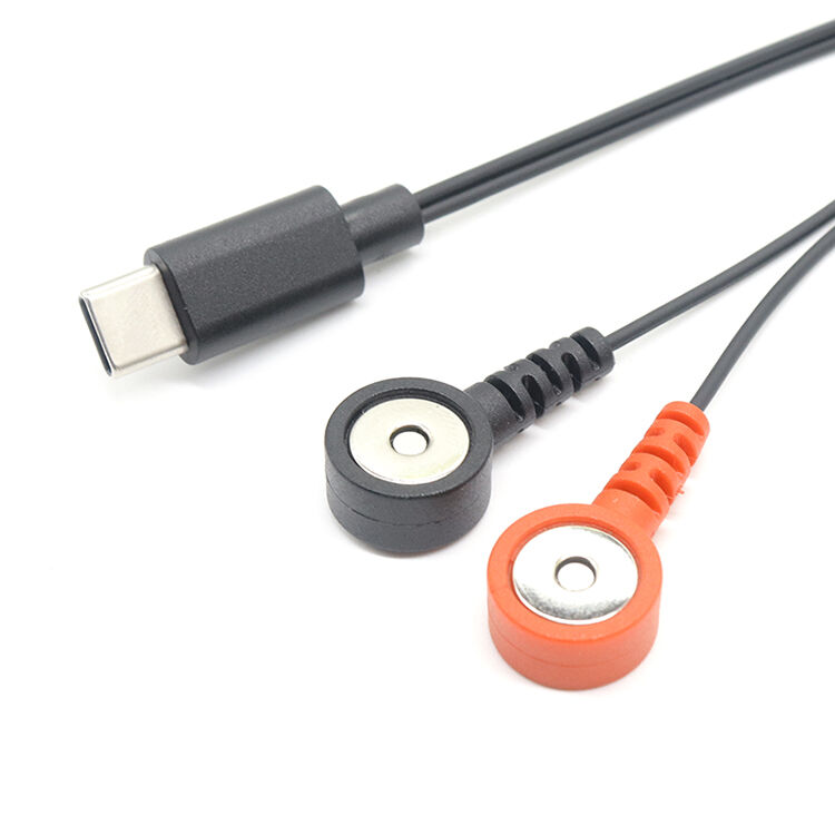 Buy Wholesale China 2 In 1 Custom Made Type C To 4.0 Magnetic Electrode ...