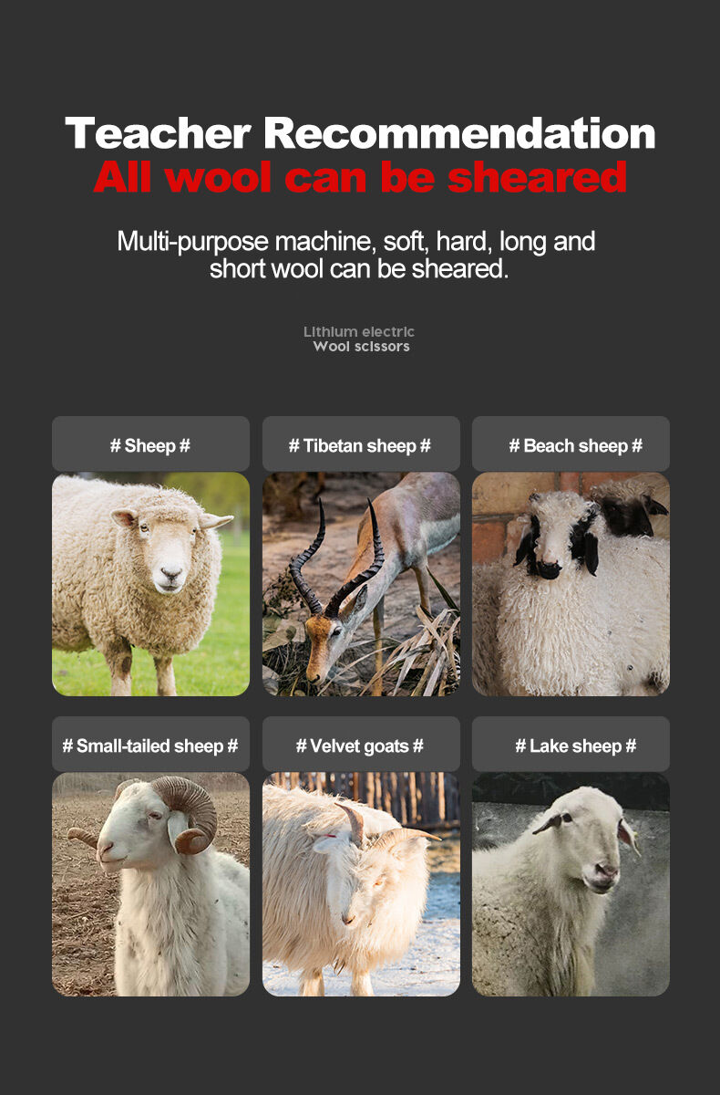 Professional Rechargeable Sheep Hair Cutter Energy Saving Livestock ...