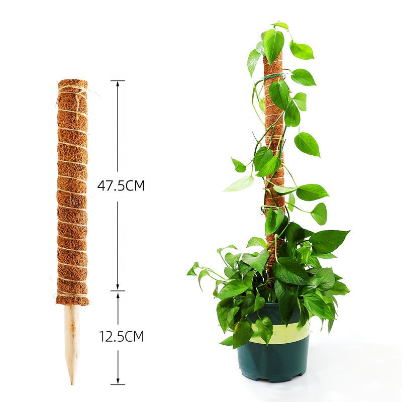 Buy China Wholesale 12 Inch 16 Inch 19 Inch Moss Pole Indoor Plant ...
