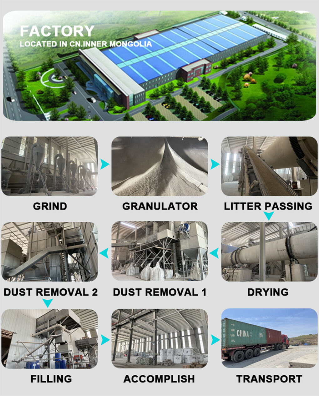 Factory Direct High Quality China Wholesale Cat Accessories Dust Free ...