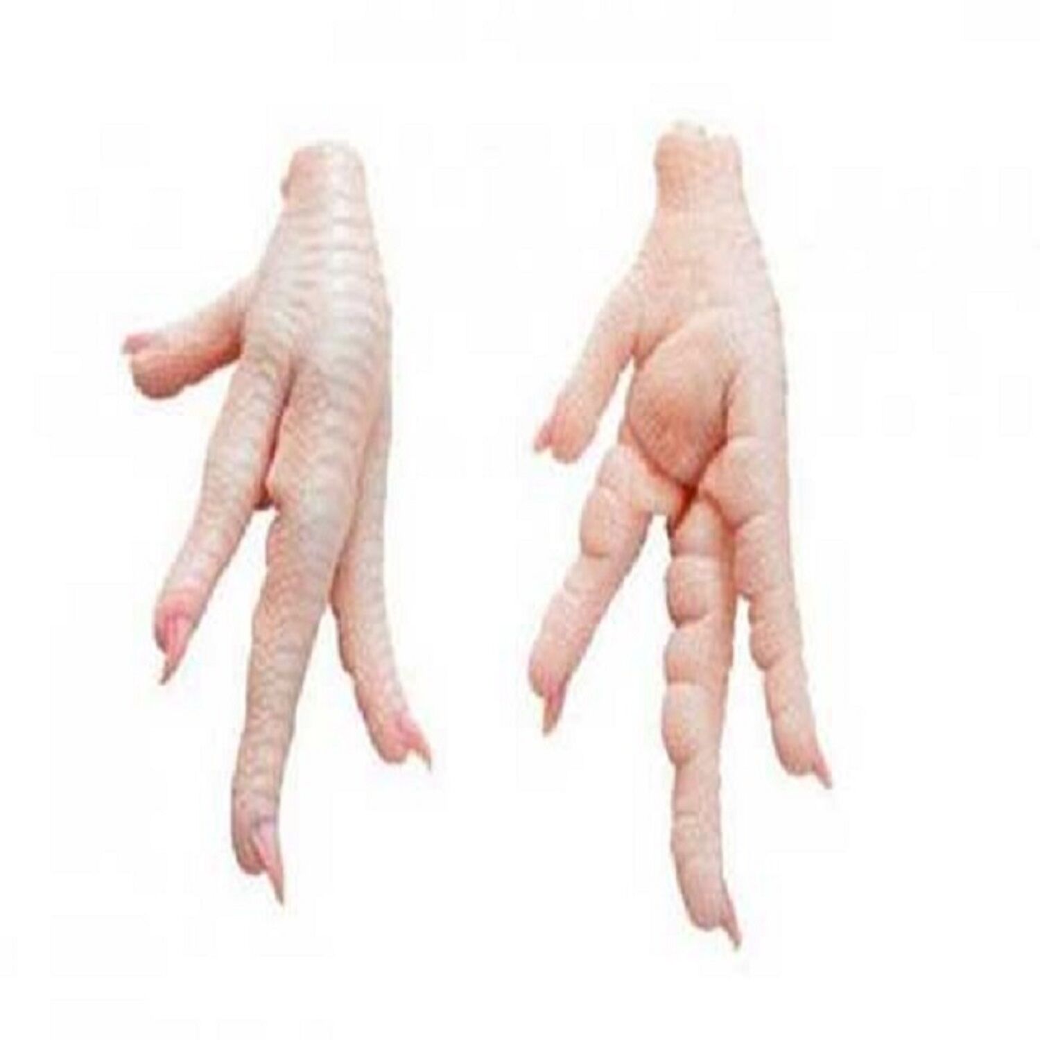 Halal Frozen Whole Chicken Clean Whole Frozen Chicken For Sale /chicken ...