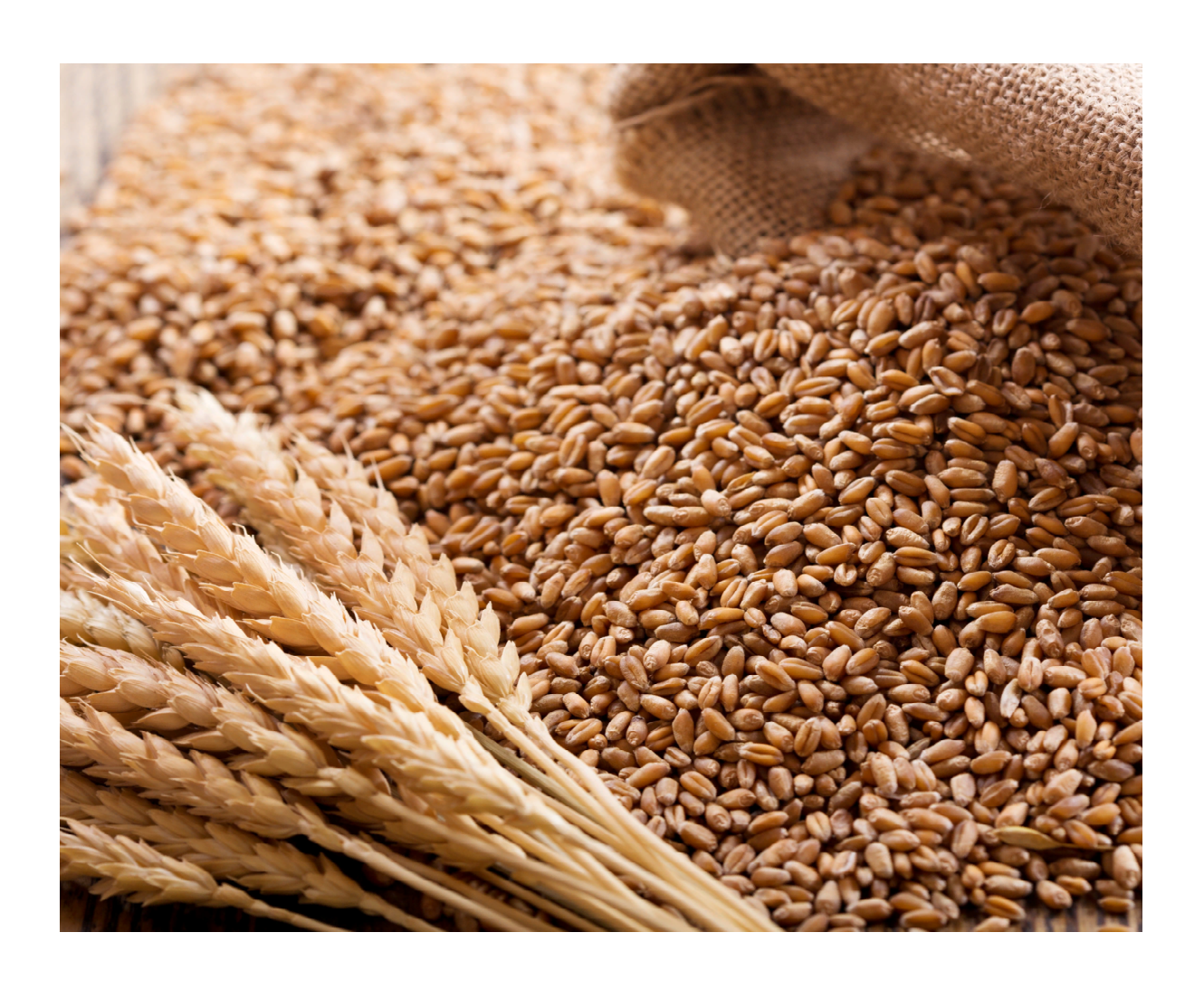 Bulk Buy United Kingdom Wholesale Direct Factory Supply Best Market ...