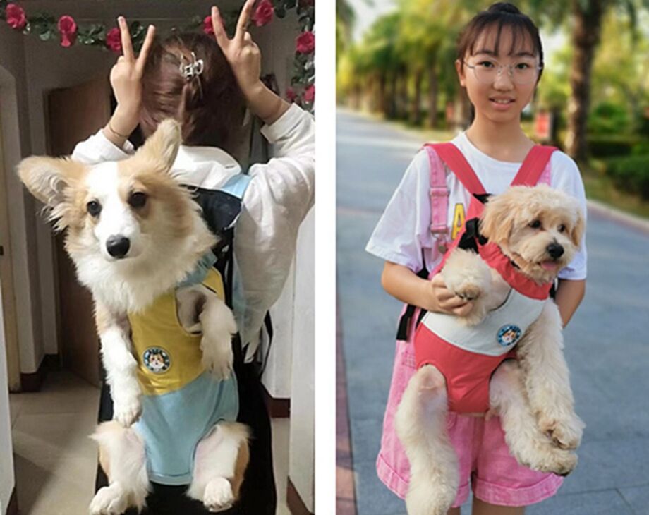 Hot Selling Pet Backpack Foldable Multi Function Bag Double Shoulder ...