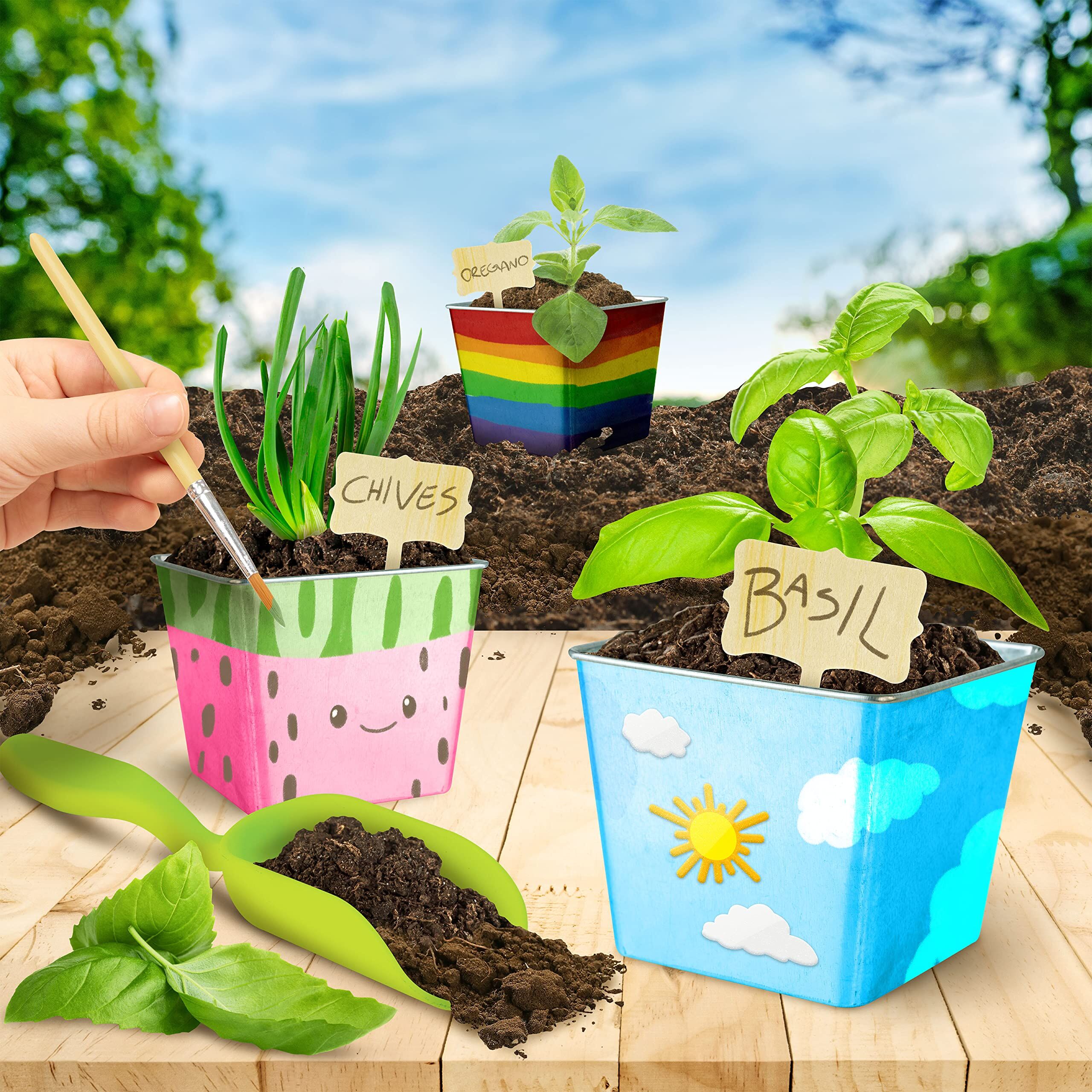 National Geographic Flower Herb Gardening Kit With 3 Stainless Steel ...