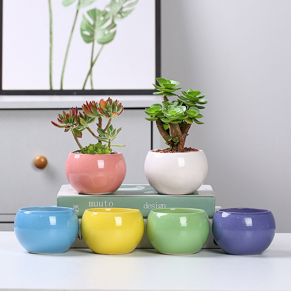 Custom Logo Multi Color Succulent Ceramic Flower Pot Simple Modern ...