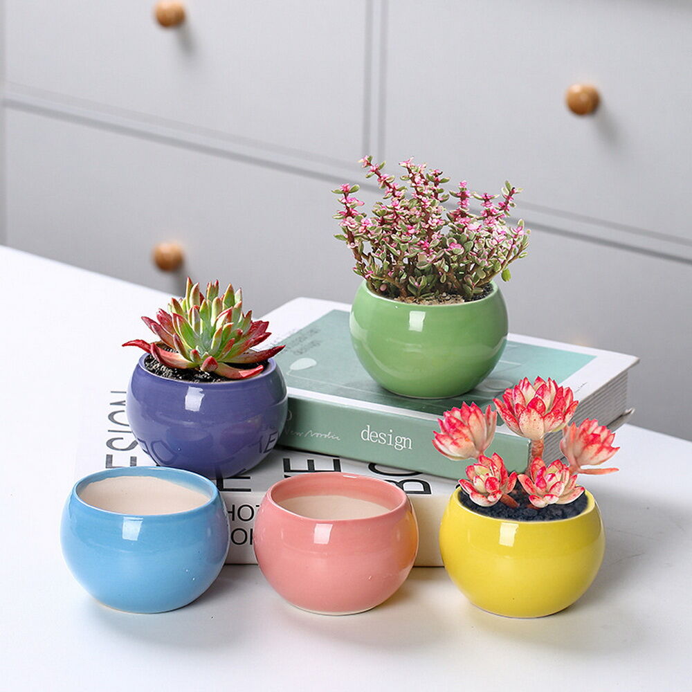 Custom Logo Multi Color Succulent Ceramic Flower Pot Simple Modern ...