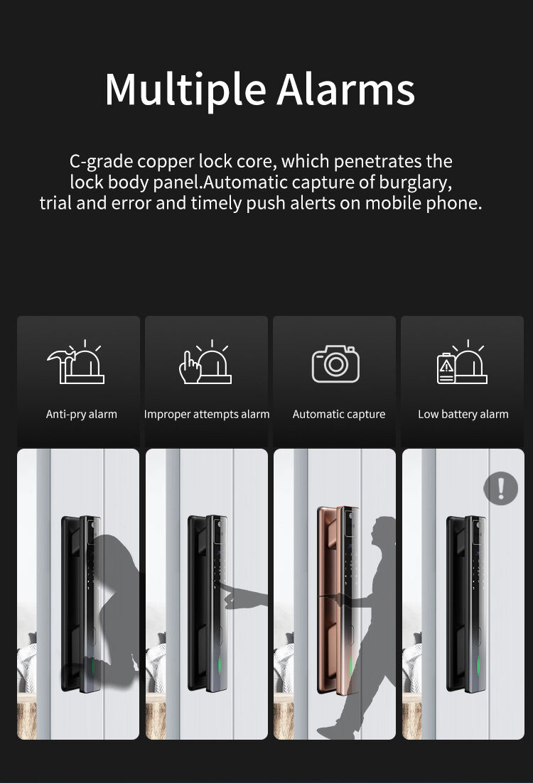 Smart Lock Factory Face Recognition Door Lock Automatic Locking With ...