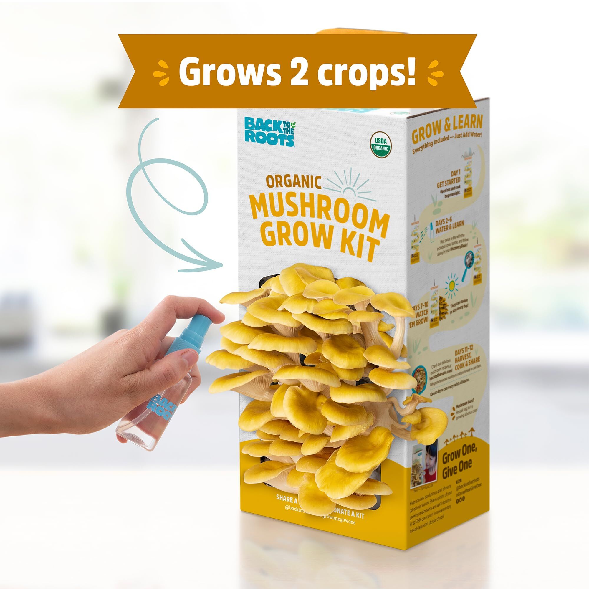 Back To The Roots Organic Pearl And Golden Oyster Mushroom Grow Kit ...