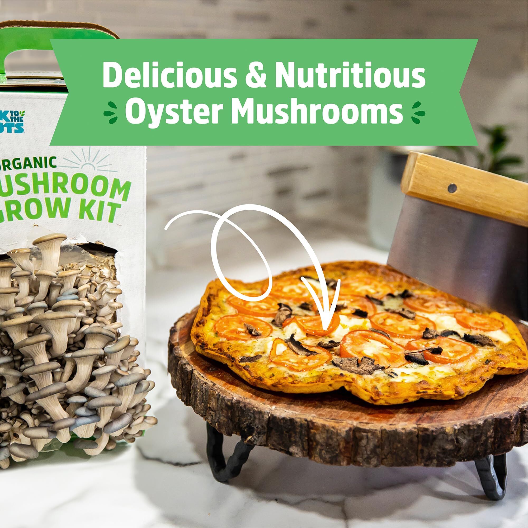 Back To The Roots Organic Pearl And Golden Oyster Mushroom Grow Kit ...