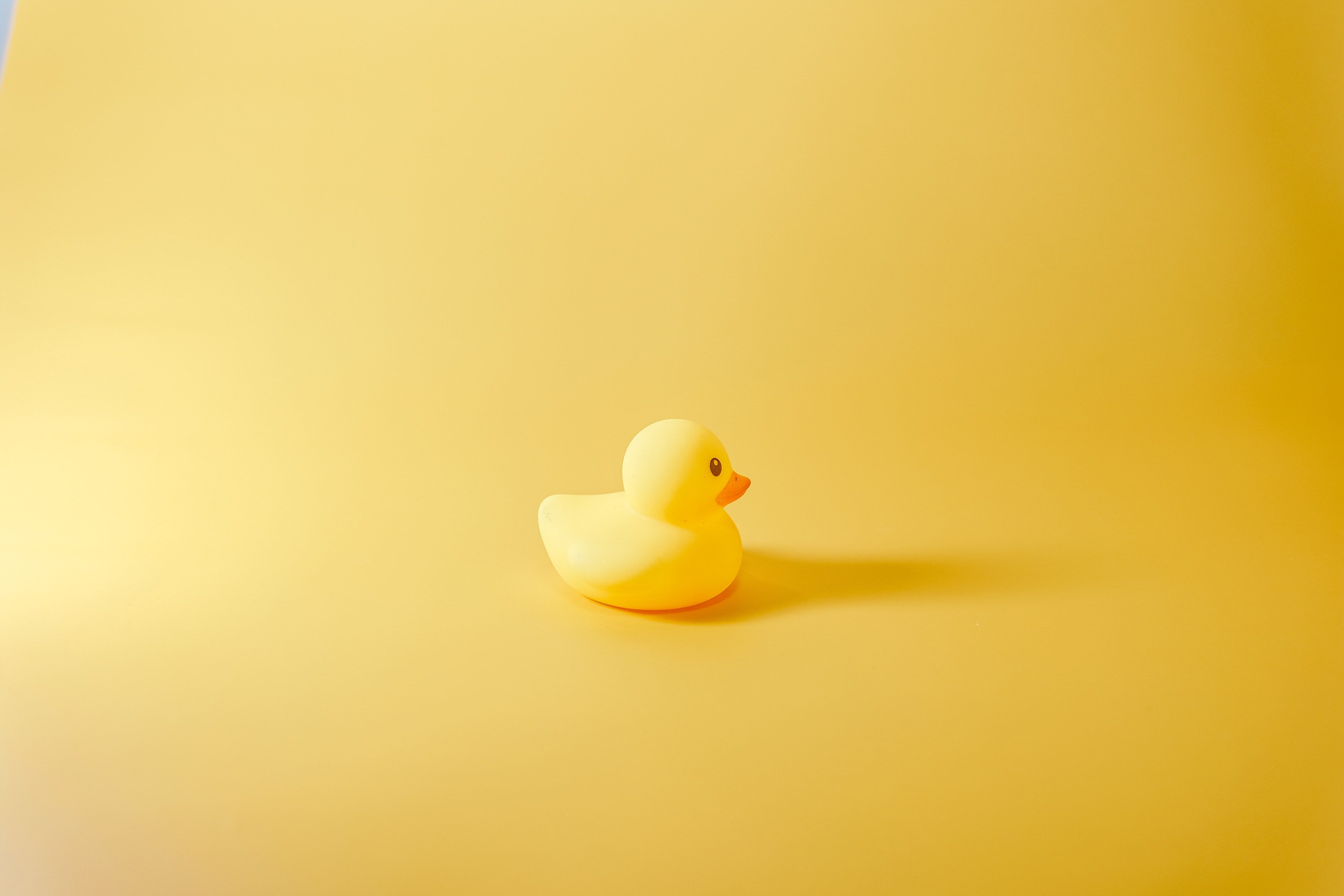 Little Yellow Duck New Pp, 117vicky Duck 1027 New, Automated Test1 ...