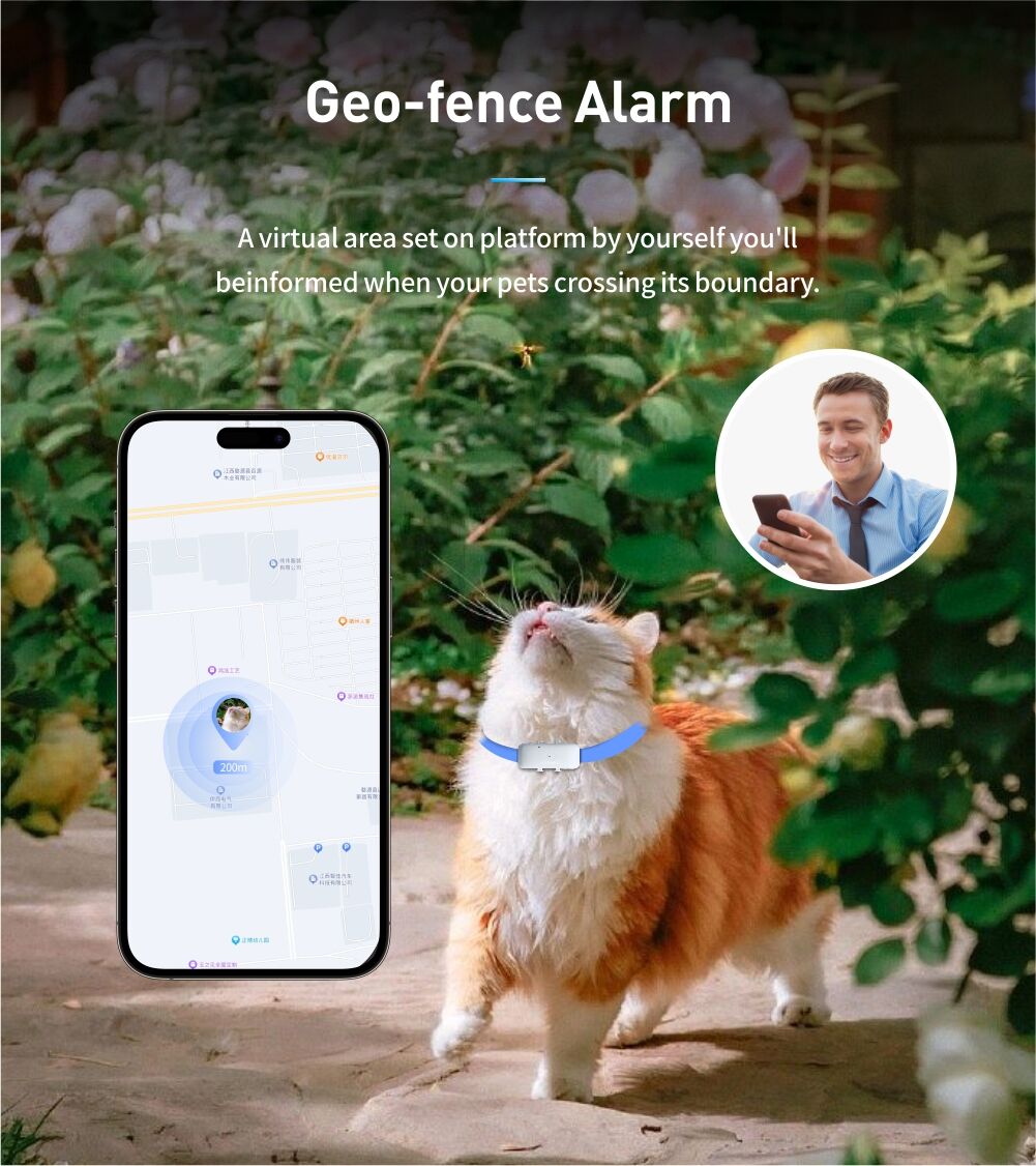 Anti-lost Tracking Device Suitable For Small Animals 4g+2g Tracking ...