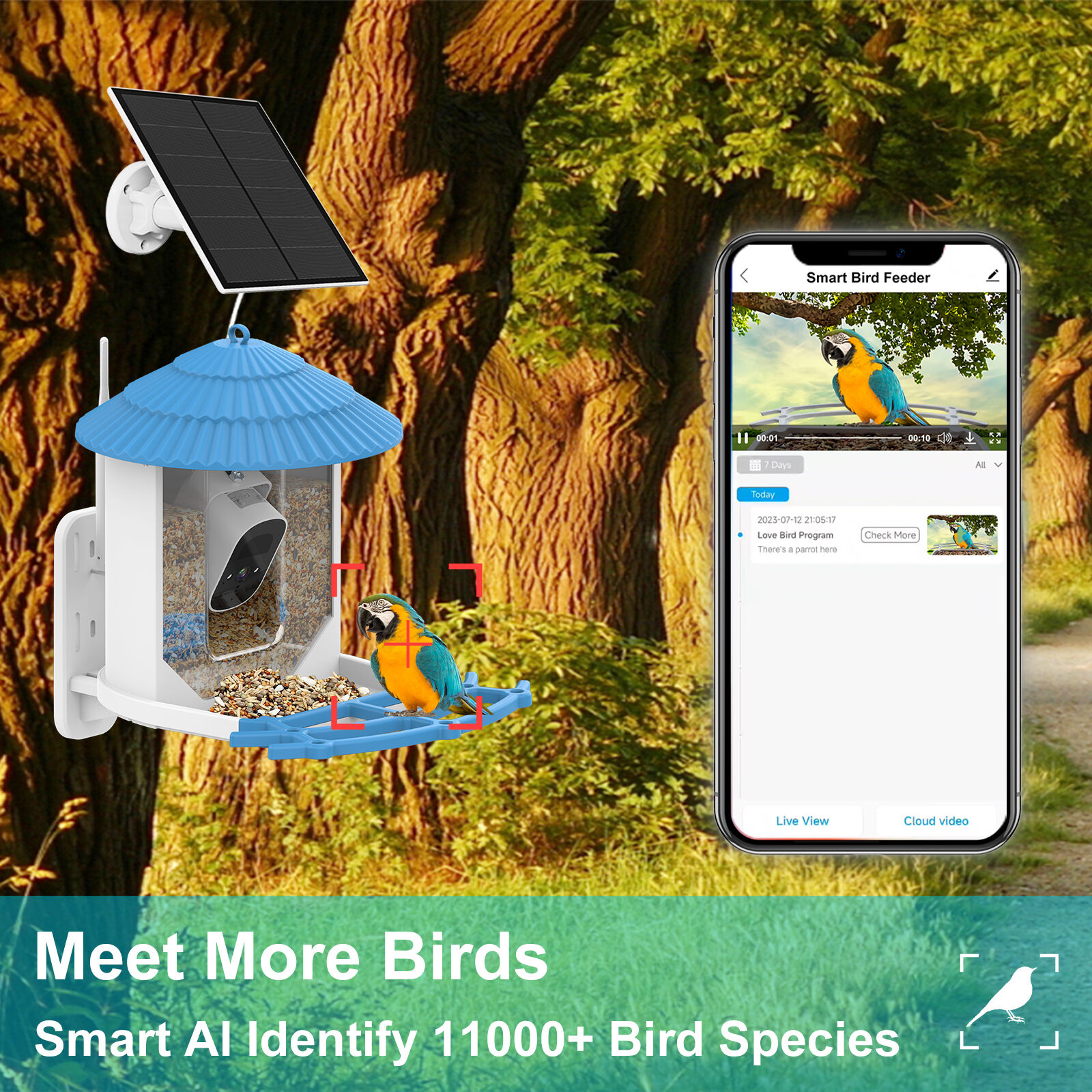 2.5k High Resolution Smart Bird Feeder ,smart Ai Identify 110000+ Bird ...