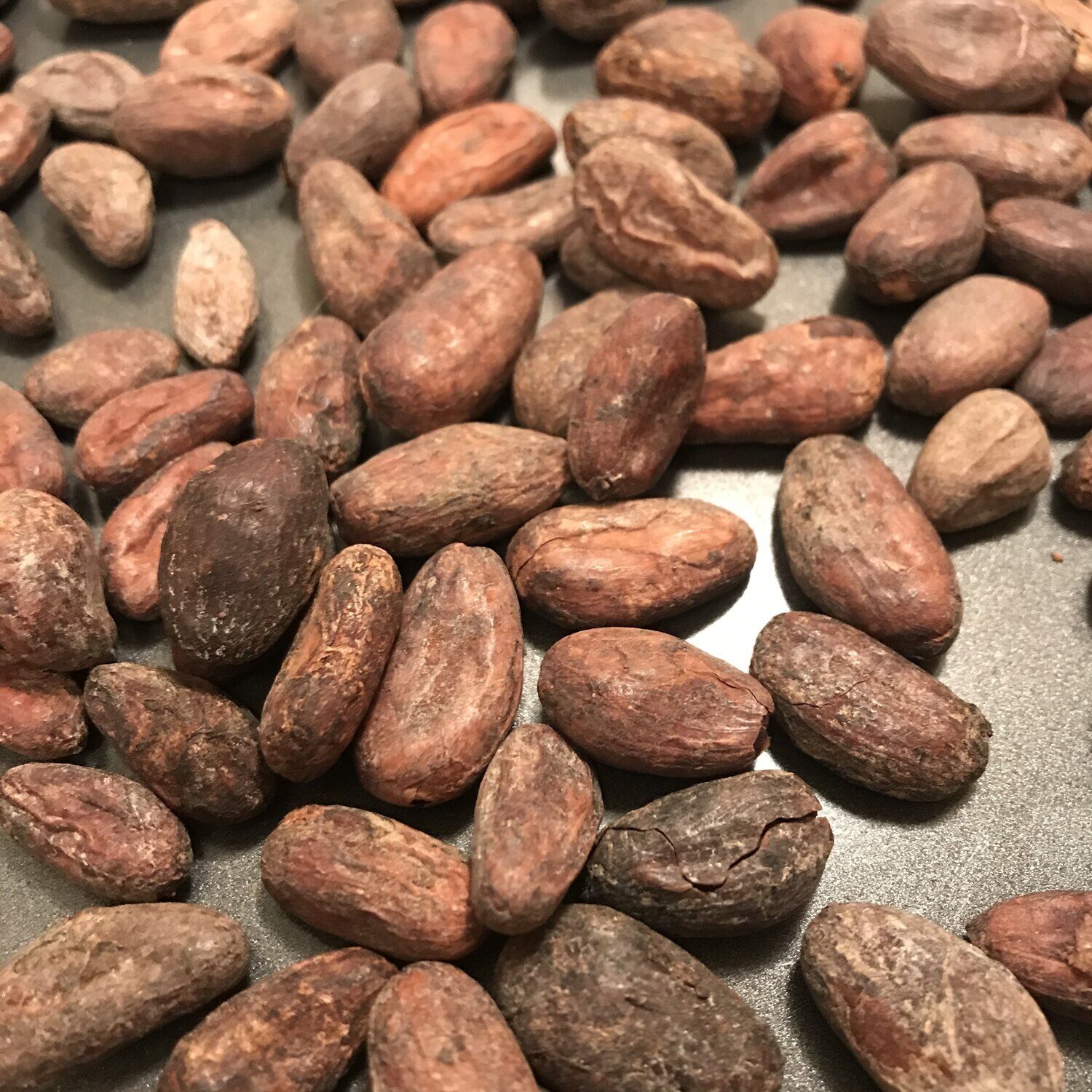 High Quality Organic Raw Cocoa Beans With Oem Services 24 Months Shelf ...