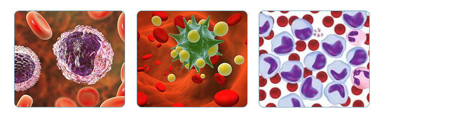 Prp Tube Gel 8ml Cpt Tube - Expore China Wholesale Mononuclear Cell ...