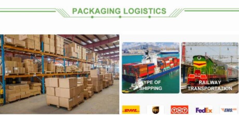 Ac Dc Dual Power Wired Interconnectable Smoke Detector Fire Protection ...