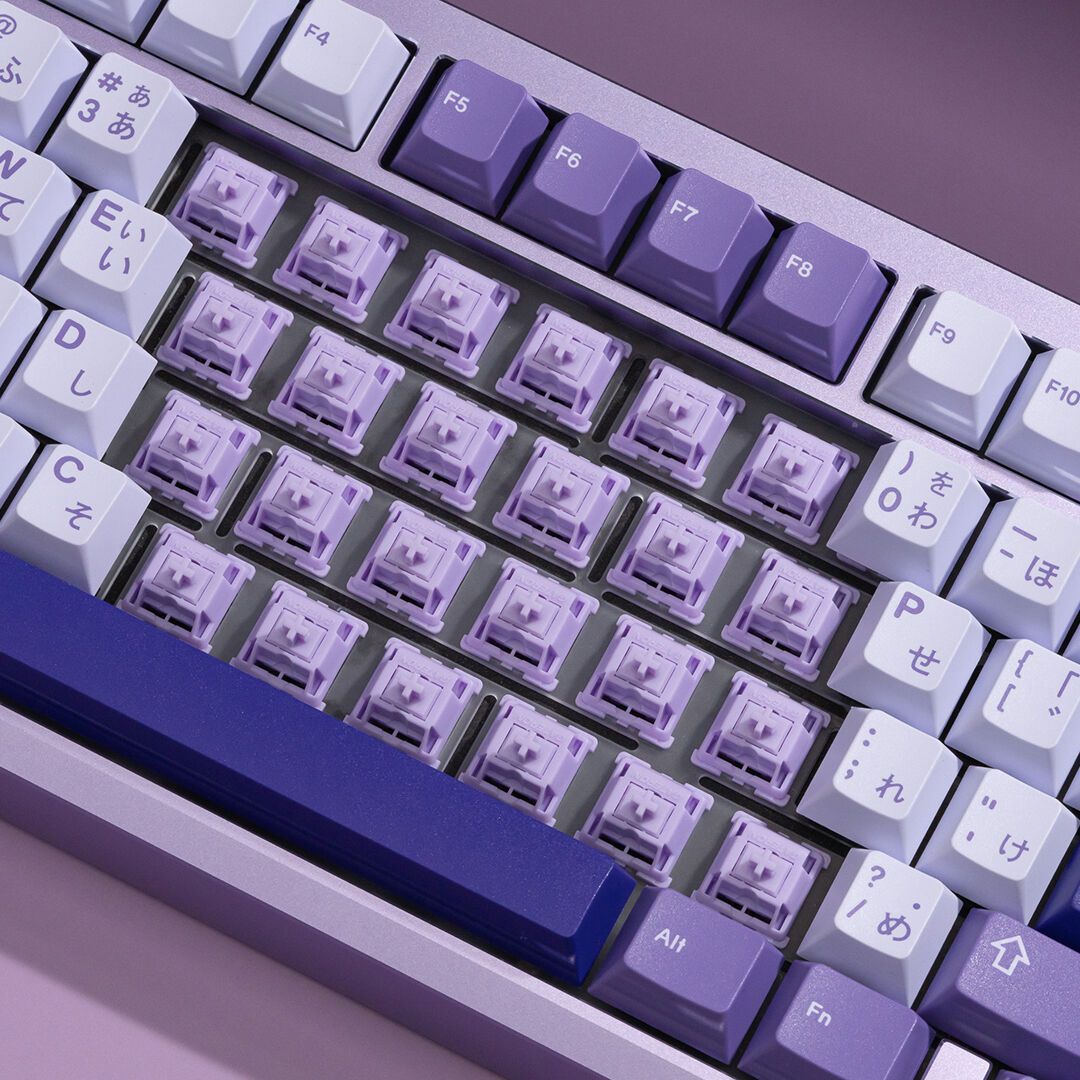 Factory Direct High Quality China Wholesale Full Pom Switch 5 Pins Purple Ws Pom+ Switches ...