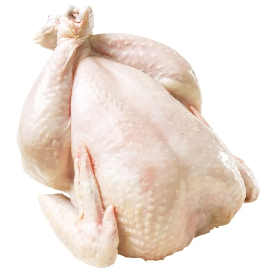 Halal Whole Frozen Chicken /turkey | Frozen Chicken Processed Full ...