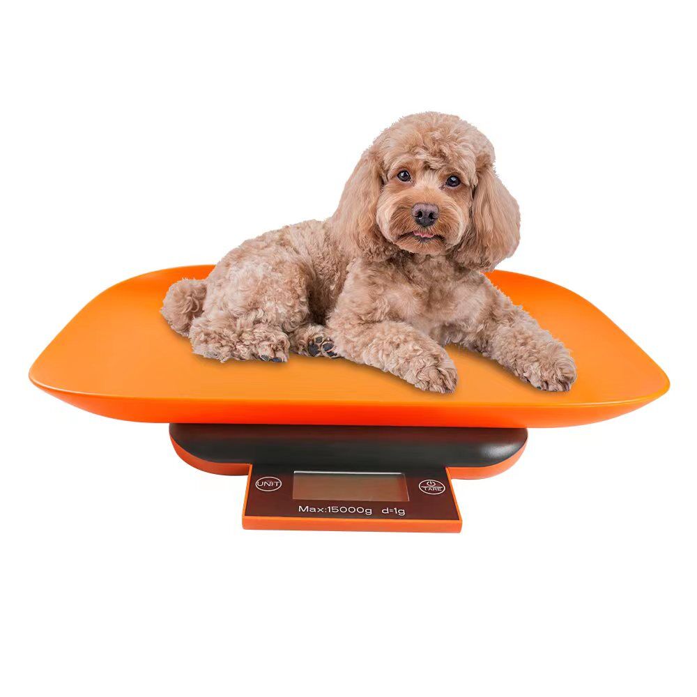 Wholesale Mini Large Platform Digital Pet Scale Electronic Digital ...
