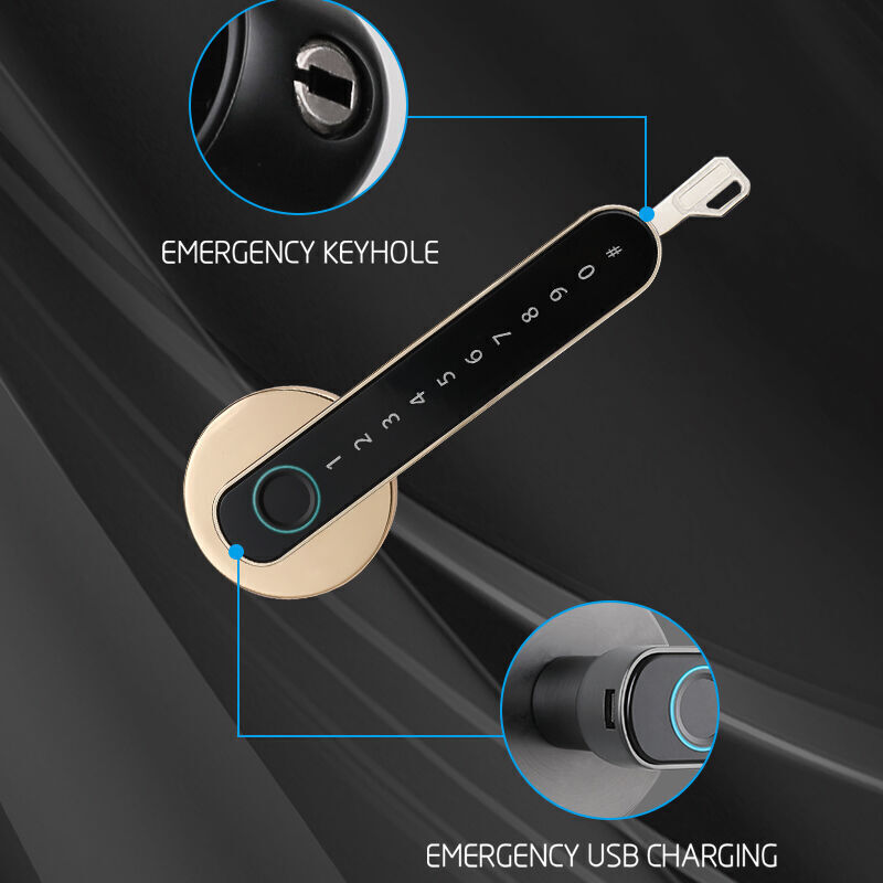 Bulk Buy China Wholesale Reliable Smart Home Door Lock Digital ...