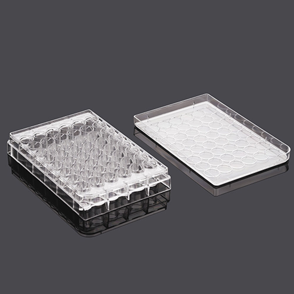 Ps Material Laboratory Medical Transparent Sterile Petri Dish Lab Flat ...