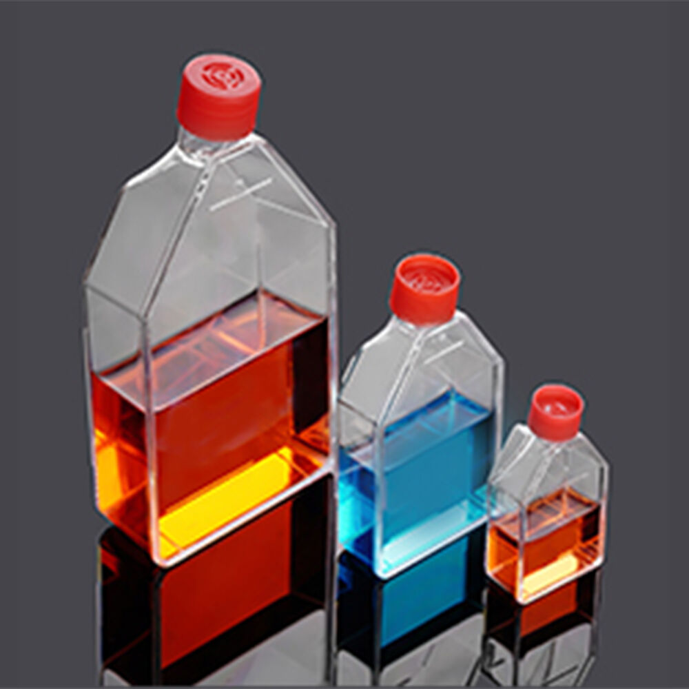 Buy China Wholesale Laboratory Sterile Celltissue Culture Flask Medical ...