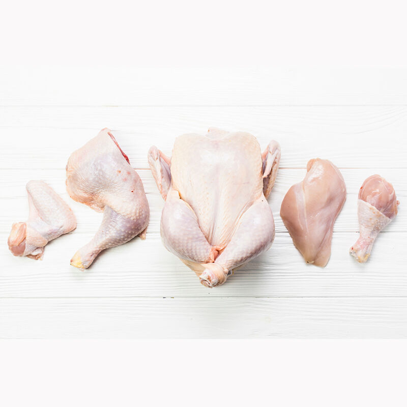 Bulk Buy Germany Wholesale Frozen Chicken Part/nutritious Frozen ...