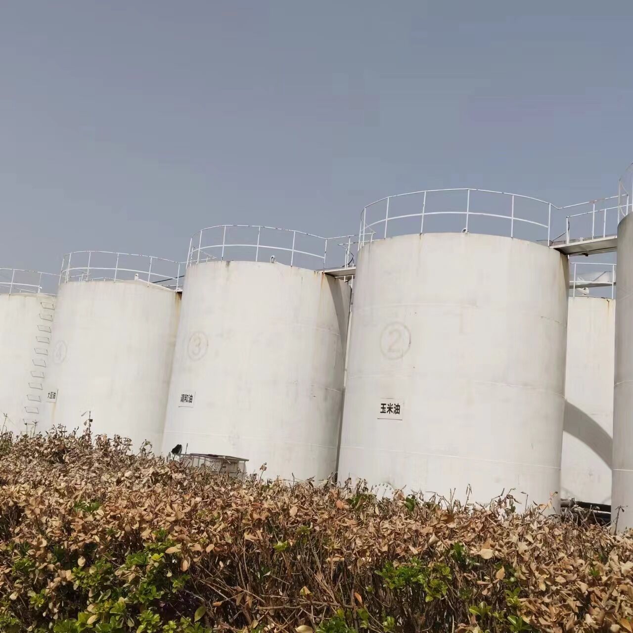 Wholesale Refined//unrefined, Sunflower Oil/ Vegetable Cooking Oil ...