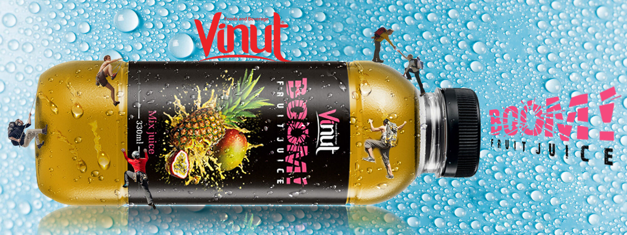 100% Fruit Juice Cranberry 330ml Bottle Drink Manufacture Supplier From ...