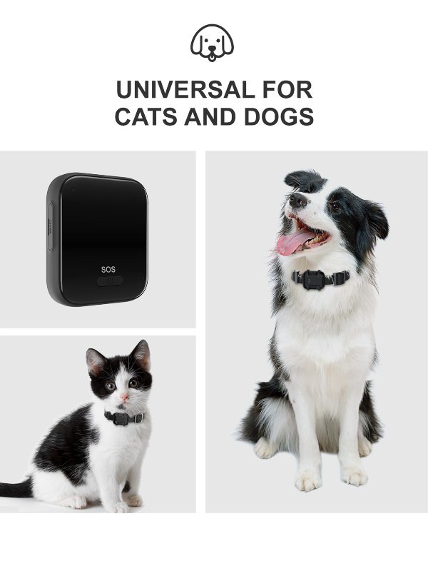 Mini Sheep Animal Gps Tracking Activity Monitoring System For Cow Horse ...