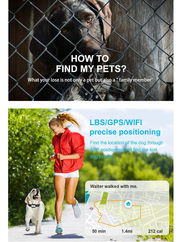 Mini Sheep Animal Gps Tracking Activity Monitoring System For Cow Horse ...