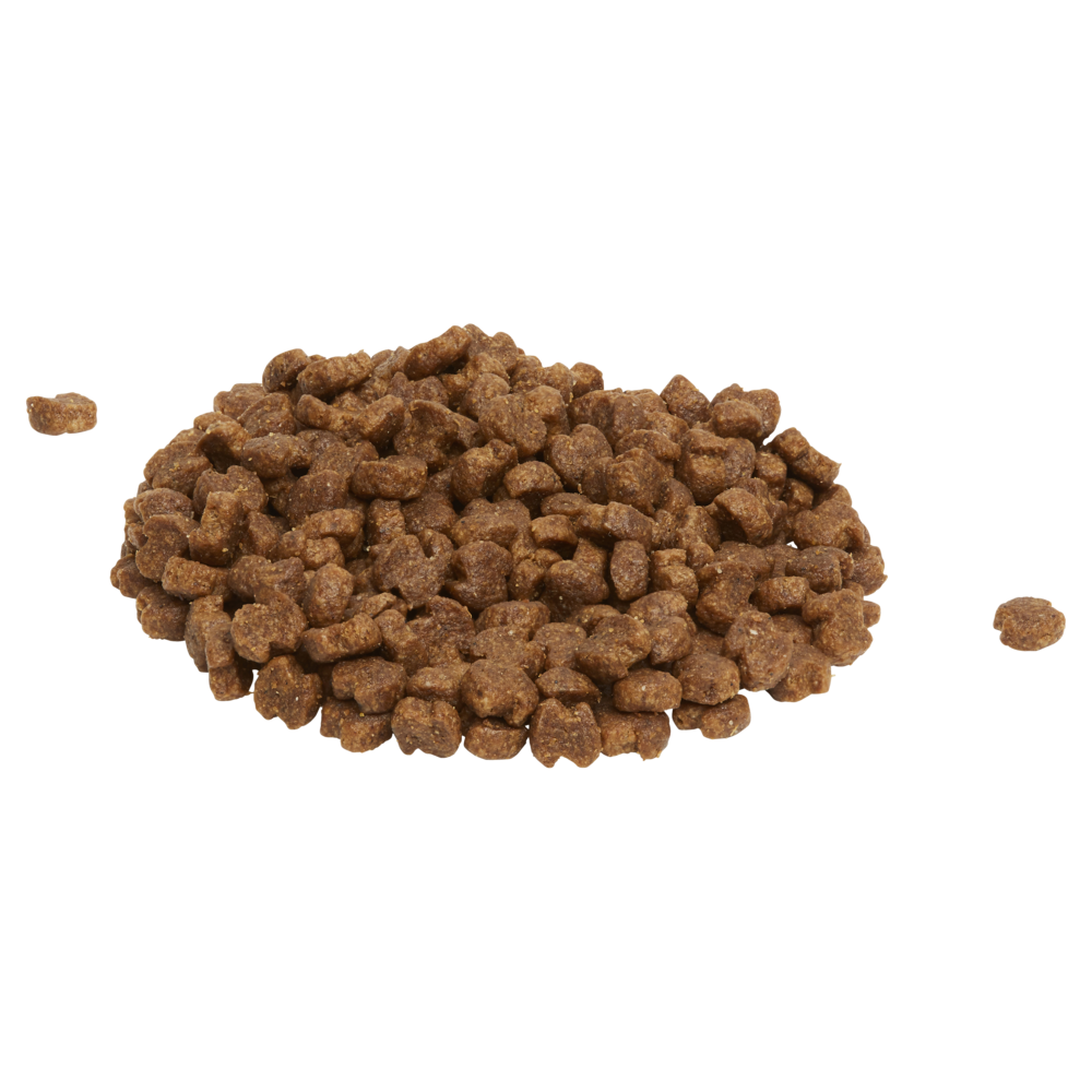 Per Food Indoor Adult - Belgium Wholesale Per Food Indoor Adult $20 ...