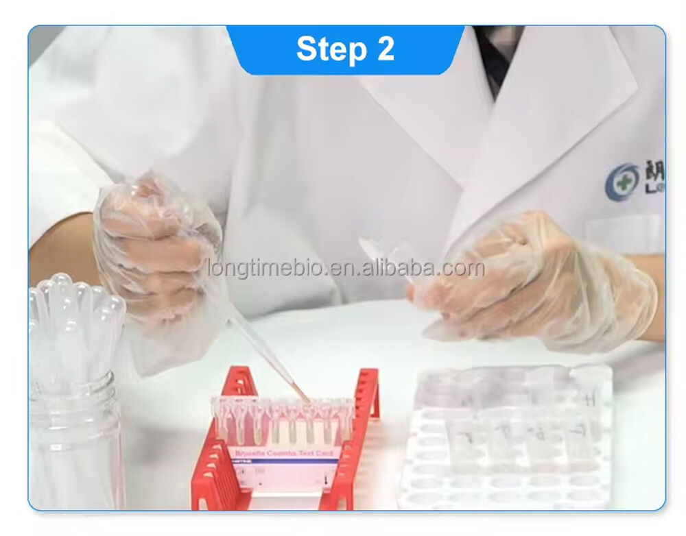 Buy China Wholesale Longtime Brucella Early Pregnancy Rapid Test Card ...