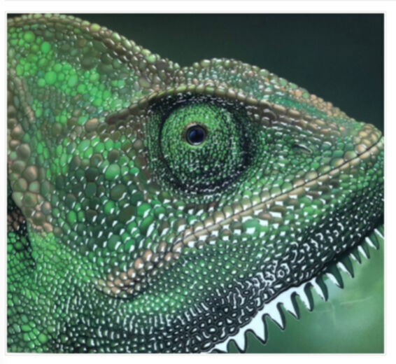 Cat Corrugated Box With Ccnb A9 Corrugated Paper Cmyk Printing Matt Pp ...