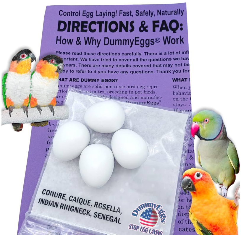 Fertile Parrot Eggs - All Parrots Fertile Eggs $1 - Wholesale United ...