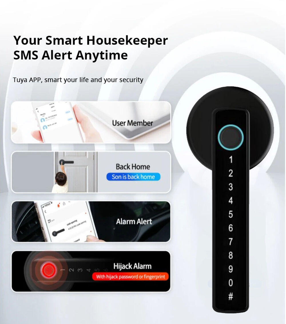 Low Price Smart Handle Lock Electronic Door Lock Biometric Fingerprint ...