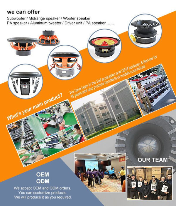 Big Powerful Professional 12inch For Car Pa Subwoofer (sw799-12 ) $80 ...