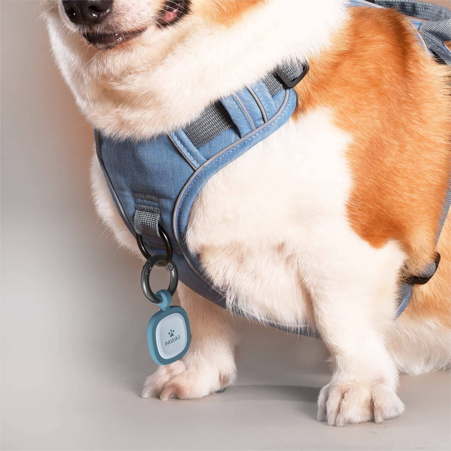 Silicone Dog Id Tag, Modifiable Pet Online Profile And Emergency ...