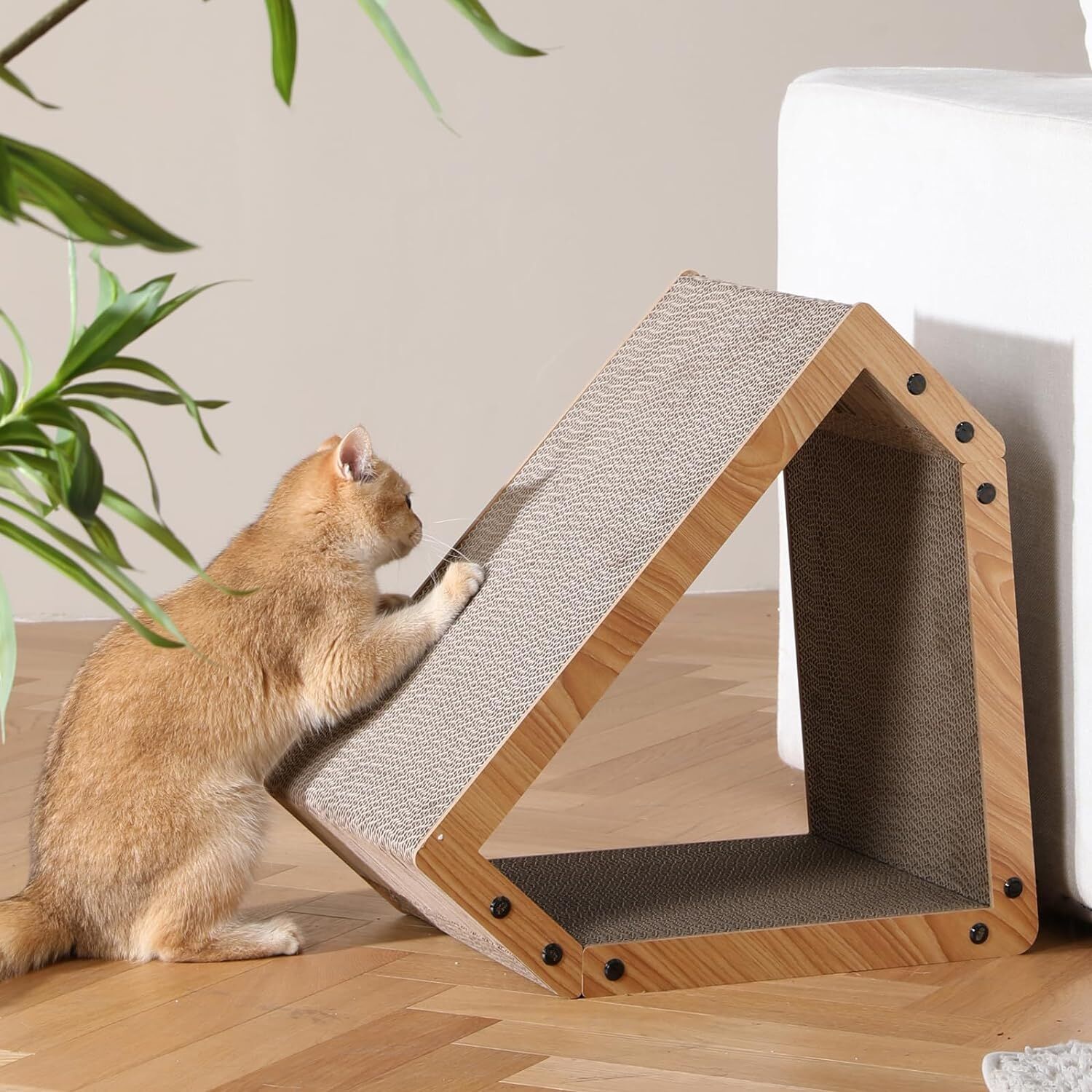 Cat Scratcher House Cozy Cardboard Design Safe And Secure For Kittens ...