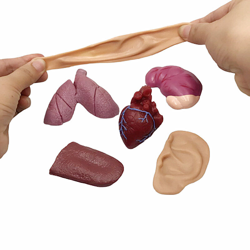 Factory Direct High Quality China Wholesale Factory Direct Sales ...