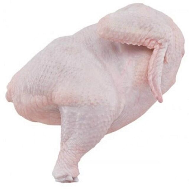Top Grade Frozen Whole Chicken / Frozen Chicken - Expore Germany ...
