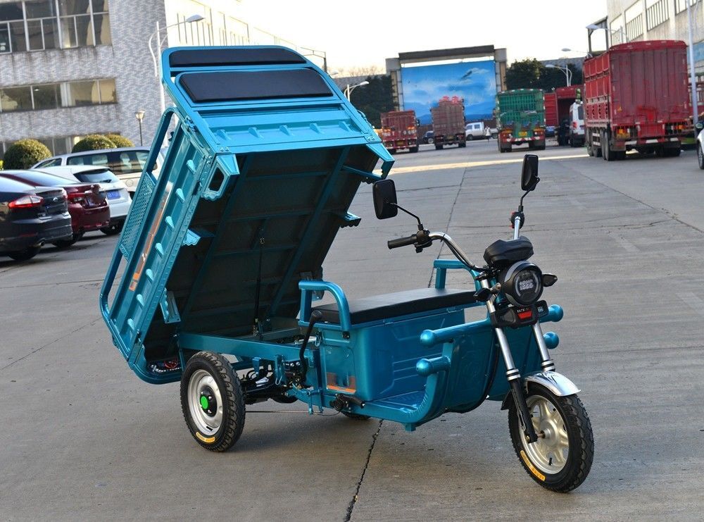 Truck Tricycle 48v1000w Motor Cargo Pulling Dry Strip Tipper ...