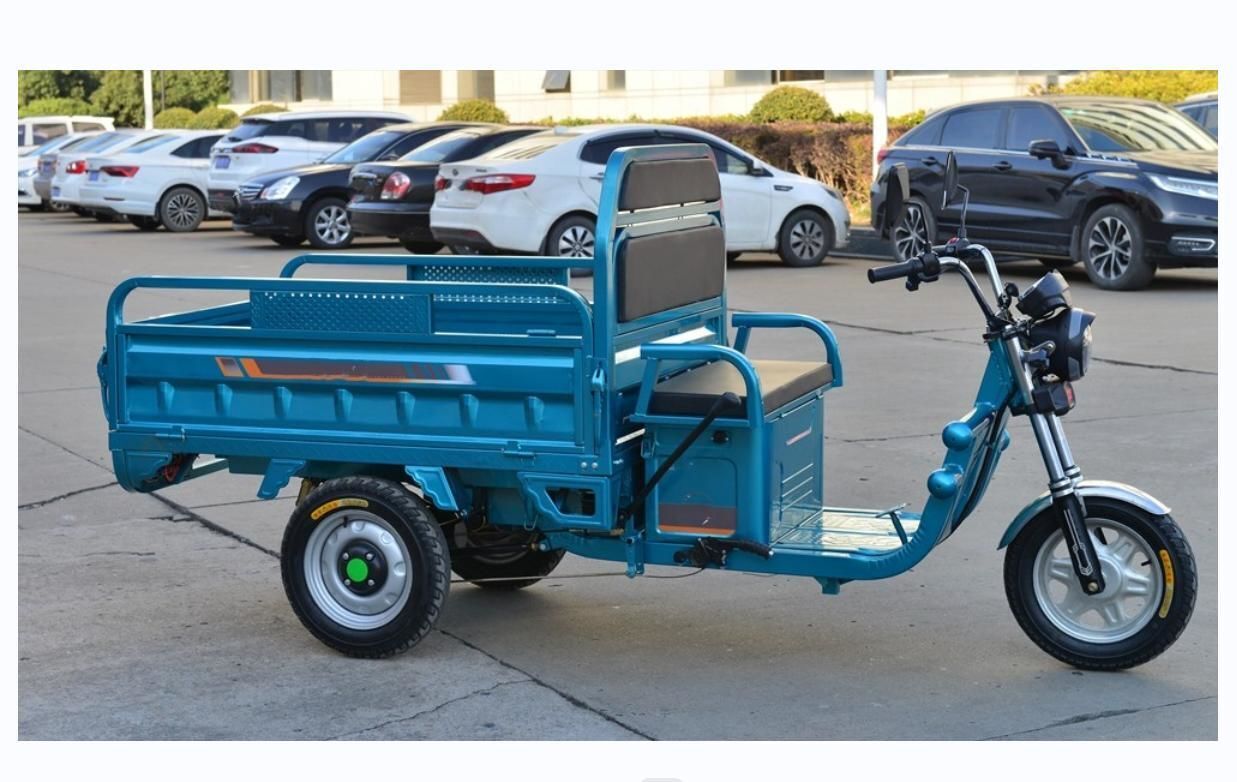 Truck Tricycle 48v1000w Motor Cargo Pulling Dry Strip Tipper ...