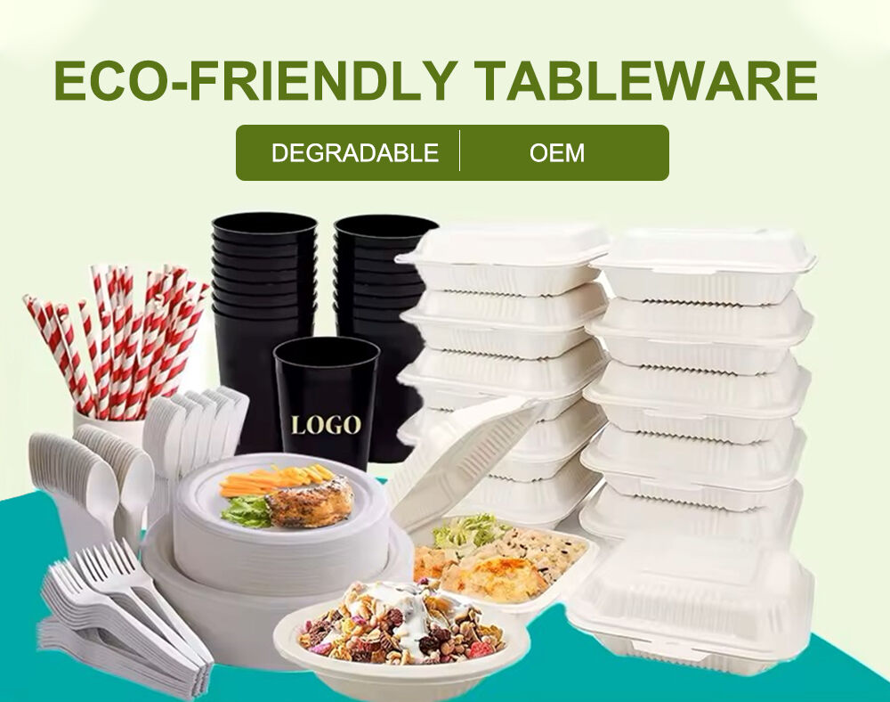 Eco-friendly Take Away Reusable Fast Food Dinnerware Flatware Spoon ...