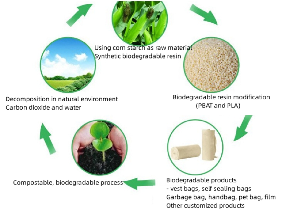 Bulk Buy China Wholesale Factory Supply Raw Material Biodegradable Raw ...