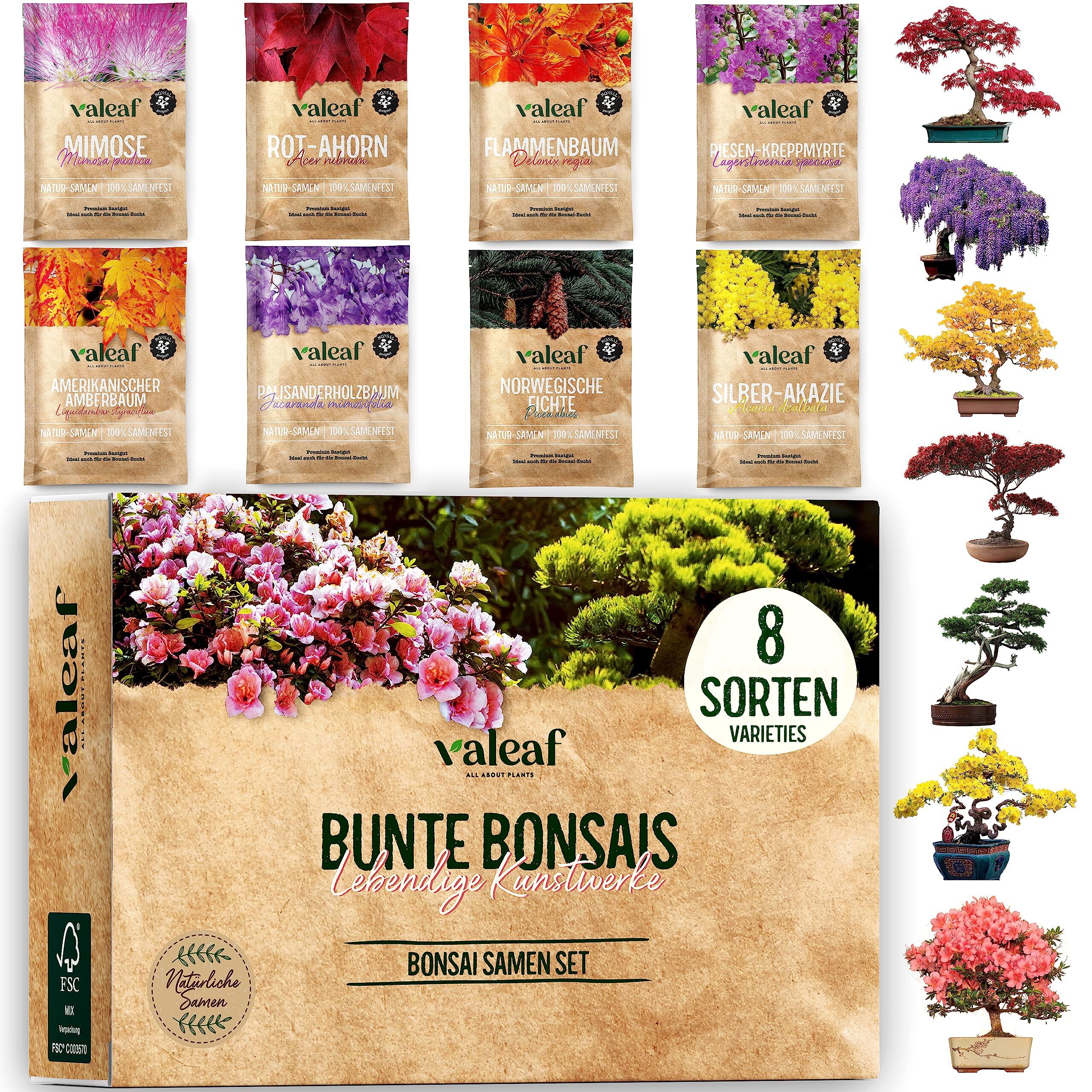 Colourful Bonsai Seed Set 8 Varieties Starter Kit Bonsai Set For Indoor ...
