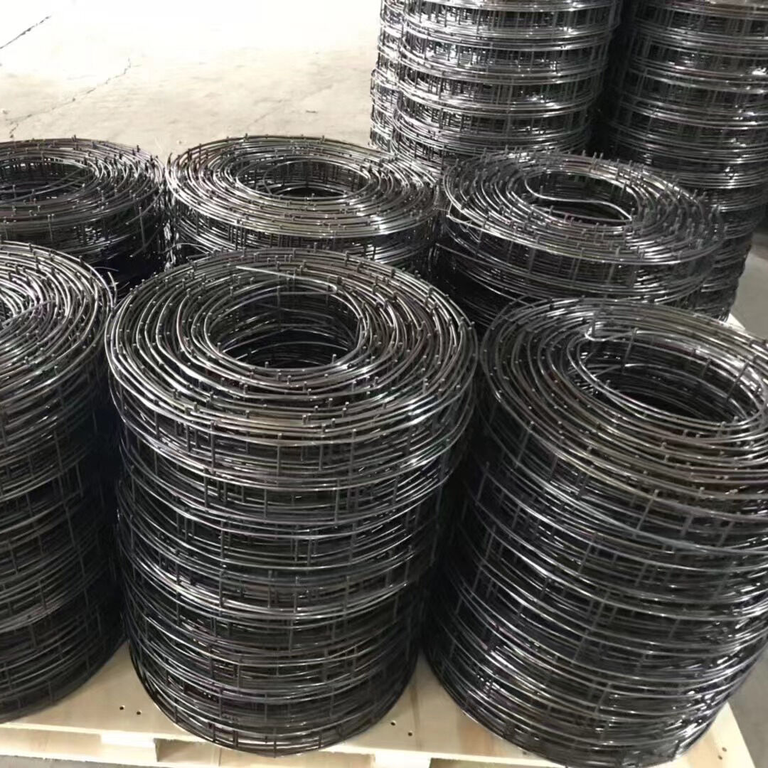 Black Welded Wire Mesh And Galvanized Wire Mesh Or Other Color - China ...