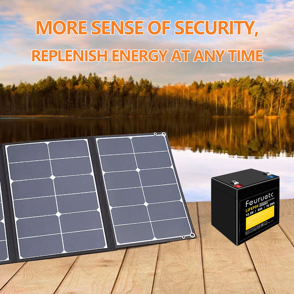 Electric Bicycles Power Tool Lithium Iron Phosphate Battery 12v6ah ...