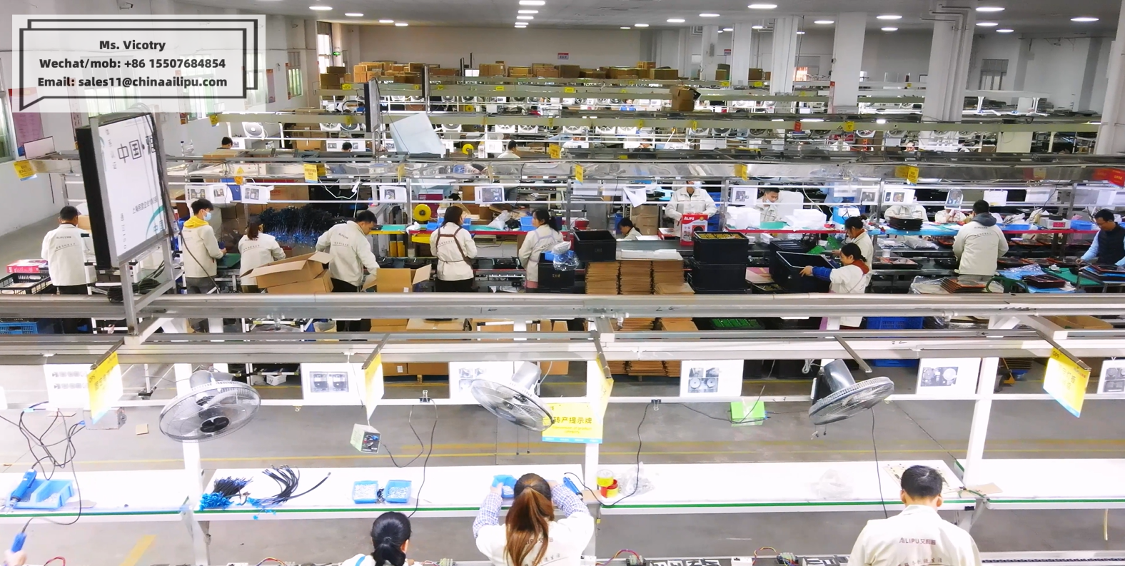 Alp-12 Induction Cooker With Blue Lighting, Alp Induction Cooktop, Alp ...